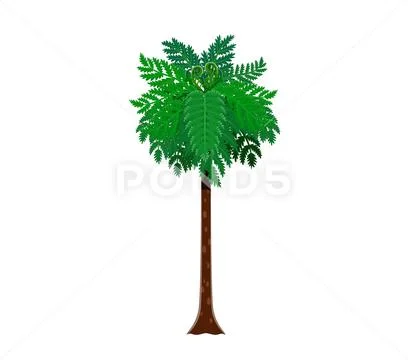 Cartoon jungle rainforest tree, prehistoric plant Illustration #280016760