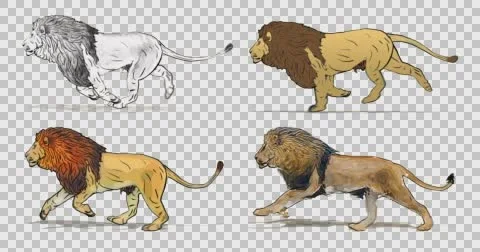 Cartoon lion running. Animation cyclical... | Stock Video | Pond5