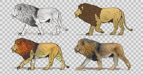 Cartoon lion walking. Animation cyclical... | Stock Video | Pond5