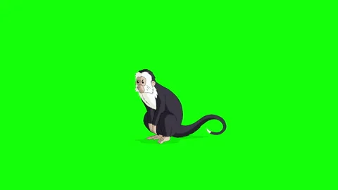 Cartoon Monkey on Green Screen Backgroun... | Stock Video | Pond5