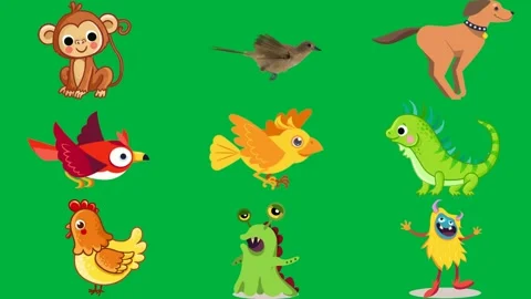 Big Monkey Cartoon Stock Videos – Royalty-Free HD & 4K Videos | Pond5