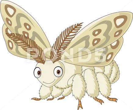 Cartoon moth insect on white background Illustration #236877132