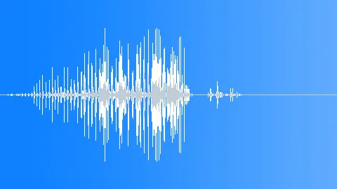 Cartoon Mud Fart ~ Stock Sound Effect #219998342 | Pond5