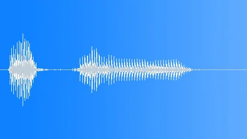 Sound Effect: Cartoon nasal pitched oops ~ #240405687