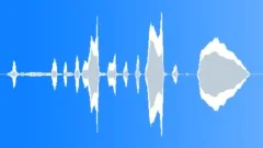 Cackling Laughter Laughter Sound Effects ~ Sounds | Pond5