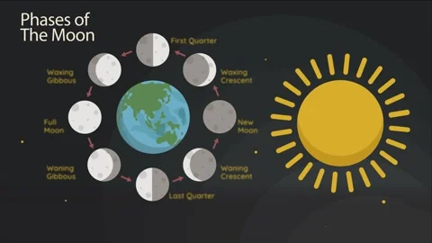 Cartoon Phases of The Moon Animation | Stock Video | Pond5