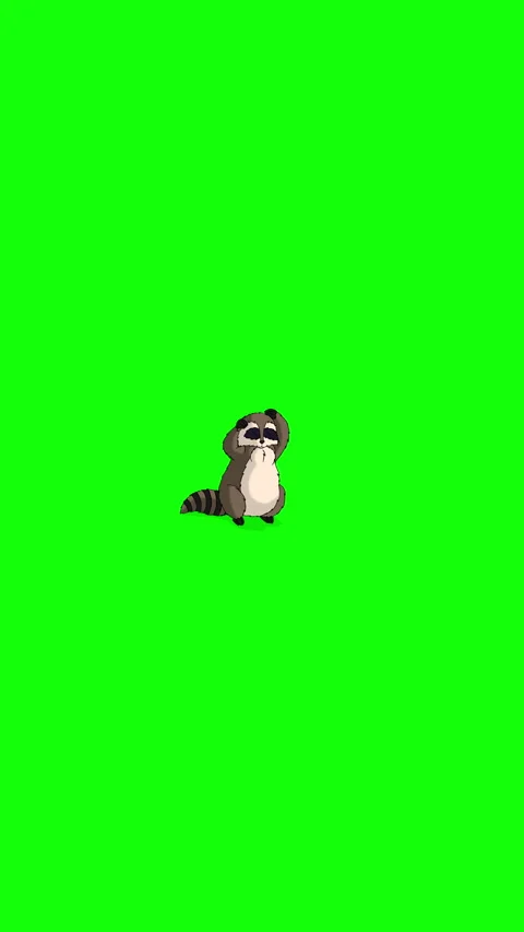 Cartoon Raccoon on Green Screen Backgrou... | Stock Video | Pond5