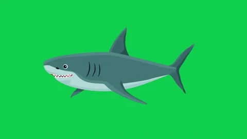 Cartoon shark swimming on a green screen... | Stock Video | Pond5