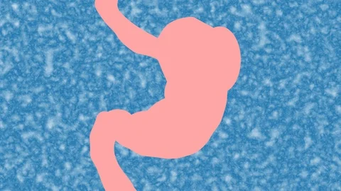 Cartoon stomach animated with movement. ... | Stock Video | Pond5