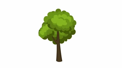 Cartoon Tree Animation. Acer tree grows ... | Stock Video | Pond5