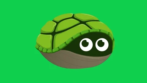 Cartoon turtle icon on green screen perf... | Stock Video | Pond5