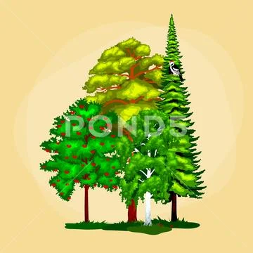 Cartoon vector set trees outdoor park. Outdoor trees in the park with ...