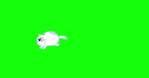 Cartoon Cat Stock Footage ~ Royalty Free Stock Videos | Pond5