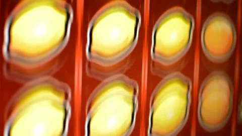 Jackpot Stock Footage ~ Royalty Free Stock Videos | Pond5