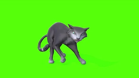 Cat Angry Green Screen Animation 3D Rend... | Stock Video | Pond5