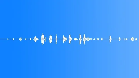 Cat, Cute Meows, Happy, Angry Growls Moans and Hisses, Various Versions ...