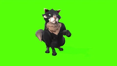 Cat Dancing Green Screen Animation 3D Re... | Stock Video | Pond5