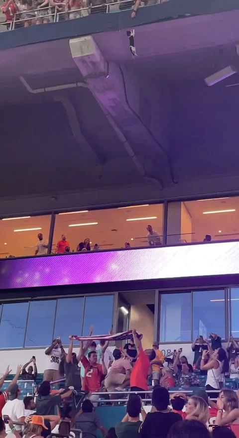 Cat Falls From Stadium's Upper Floor, Mi... | Stock Video | Pond5
