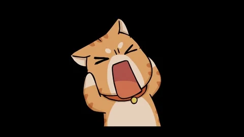 Cat Ignoring Sound - Transparent Backgro... | Stock Video | Pond5