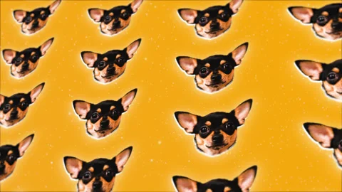 Funny Faces Gif Stock Videos – Royalty-Free HD & 4K Videos