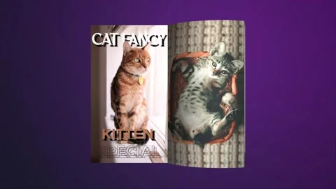 Magaling Animation Stock Videos – Royalty-Free HD & 4K Videos