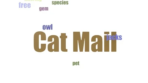 Cat Mail Stock Footage ~ Royalty Free Stock Videos | Pond5