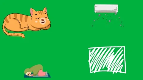 Animal Asset Stock Videos – Royalty-Free HD & 4K Videos