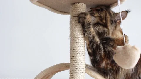 Post Its Stock Videos – Royalty-Free HD & 4K Videos | Pond5