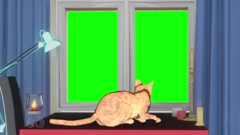 Cat Anime Style Stock Videos – Royalty-Free HD & 4K Videos