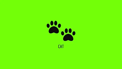 Cat step icon animation | Stock Video | Pond5