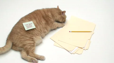 Sticky Note Cute Stock Videos – Royalty-Free HD & 4K Videos | Pond5