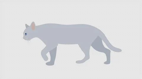 Cat walk Cycle Animation | Stock Video | Pond5