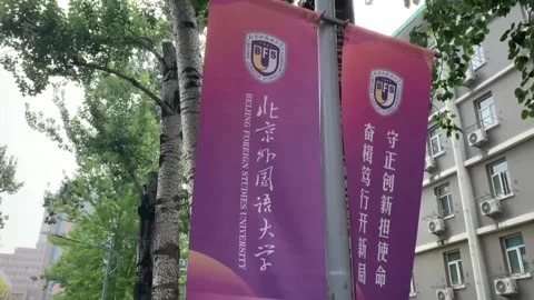 Returns 26 Stock Videos – Royalty-Free HD & 4K Videos