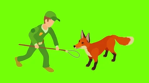 Foxes In Animation Stock Videos – Royalty-Free HD & 4K Videos | Pond5