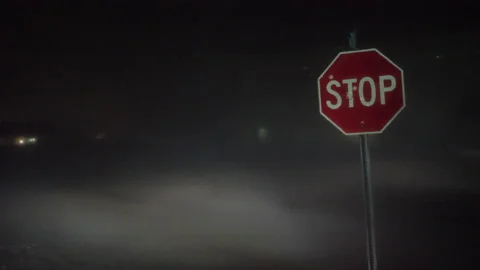 Laura D Stock Videos – Royalty-Free HD & 4K Videos