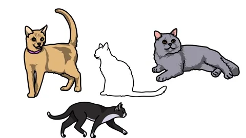 cats animation Sketch and 2d animated | Stock Video | Pond5