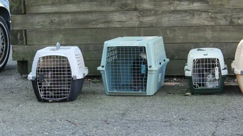 Crates Box Stock Videos – Royalty-Free HD & 4K Videos