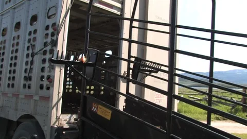 Hot Dog Trailer Stock Videos – Royalty-Free HD & 4K Videos | Pond5