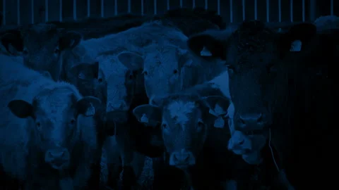 Barn Night Stock Footage ~ Royalty Free Stock Videos | Pond5