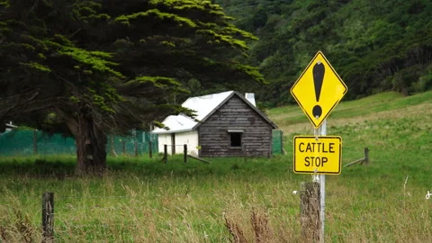 Cattle Stop Sign On Roadside With Macroc... | Stock Video | Pond5