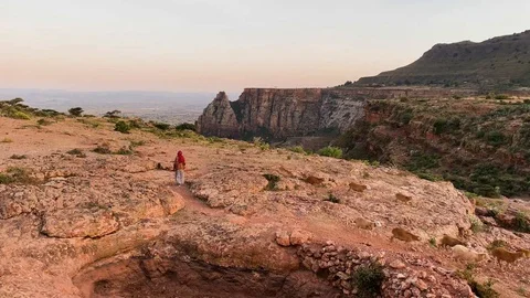 Cattle walking at the rough terrain of E... | Stock Video | Pond5