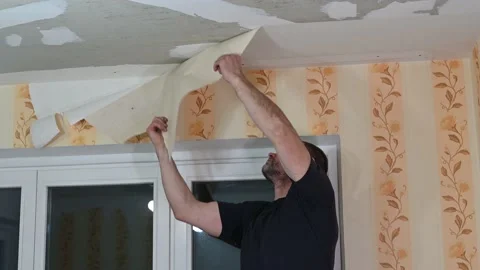 Ap Construction Stock Videos – Royalty-Free HD & 4K Videos