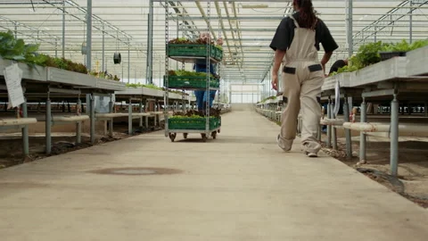 Pushing Crates Stock Video Footage | Royalty Free Pushing Crates Videos ...