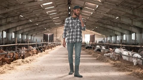 Man and Goat Stock Videos – Royalty-Free HD & 4K Videos | Page 5