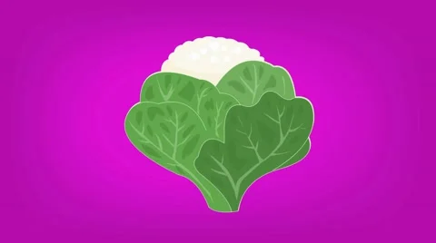 cauliflower - Vector Graphics - Food An... | Stock Video | Pond5