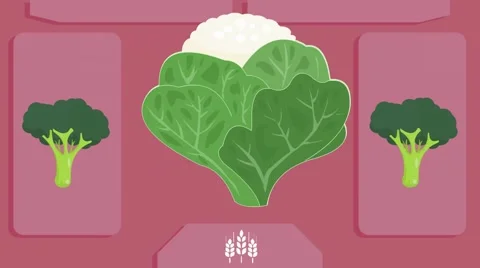 cauliflower - Vector Graphics - Food An... | Stock Video | Pond5