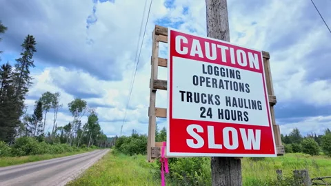 Logging Trucks Stock Videos – Royalty-Free HD & 4K Videos