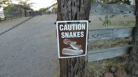 Caution snakes warning sign on wooden po... | Stock Video | Pond5