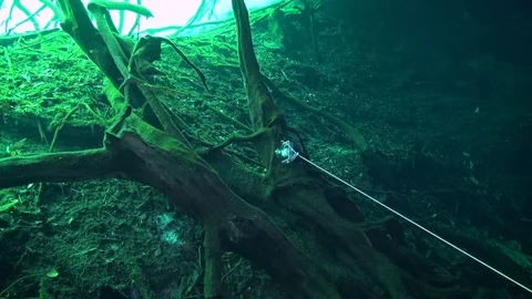 Cave line tied off in a cenote's light z... | Stock Video | Pond5