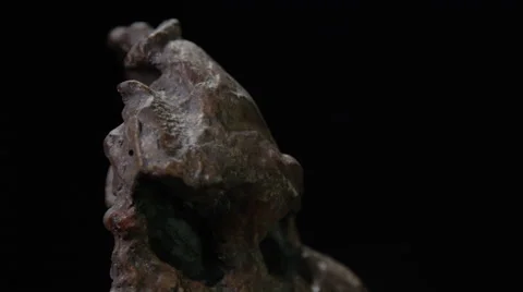 Australopithecus Stock Footage ~ Royalty Free Stock Videos | Pond5